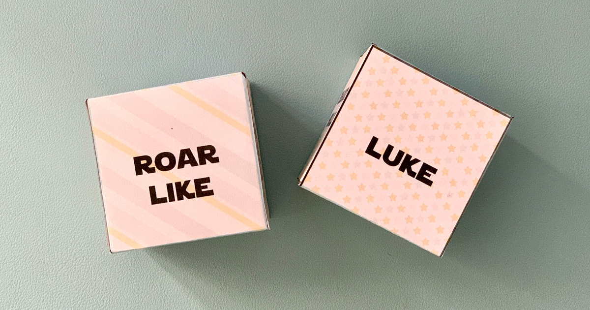 DIY Star Wars Game with Printable Character Activity Dice for Kids