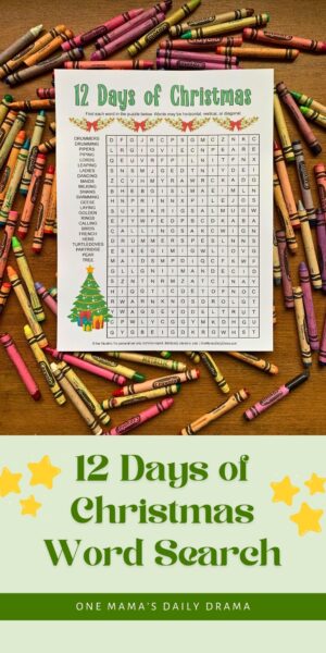 Printable 12 Days of Christmas Word Search